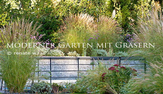 moderner Garten mit Gräsern, Gartenplanung Renate Waas