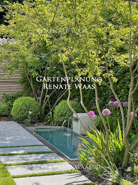 Gaerten mit Wasser - kleiner Teich mit Holzsteg und Sitzplatz